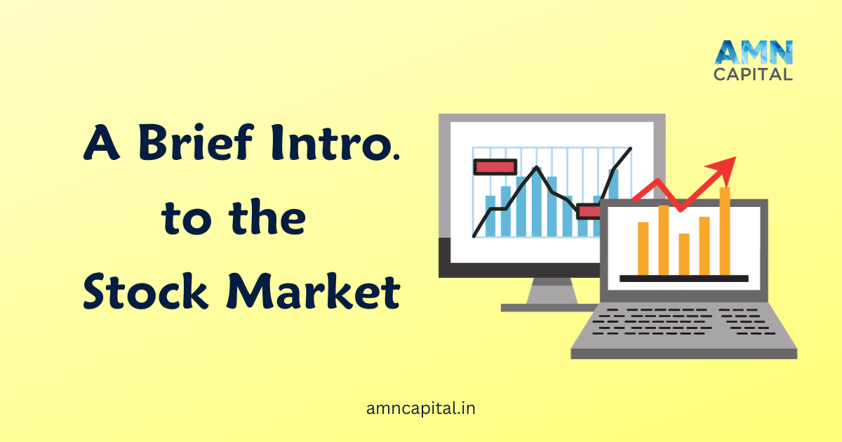 A Brief Intro. to the Stock Market – AMN CAPITAL